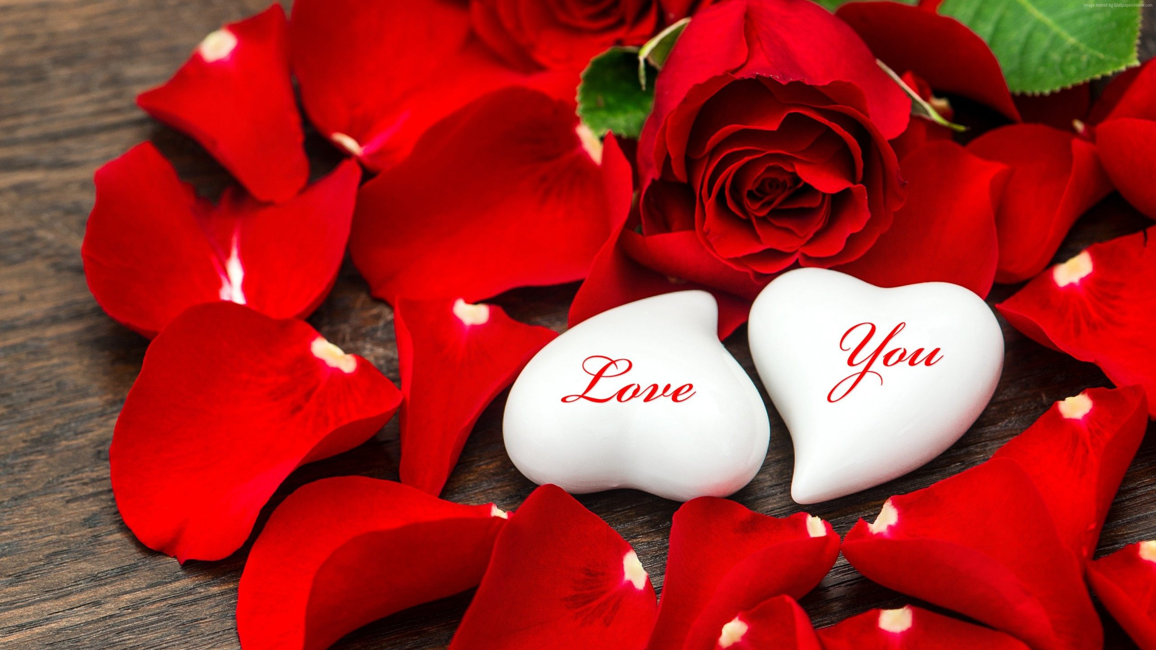 Stock Images love image, heart, HD, Stock Images HD, heart, love image ...